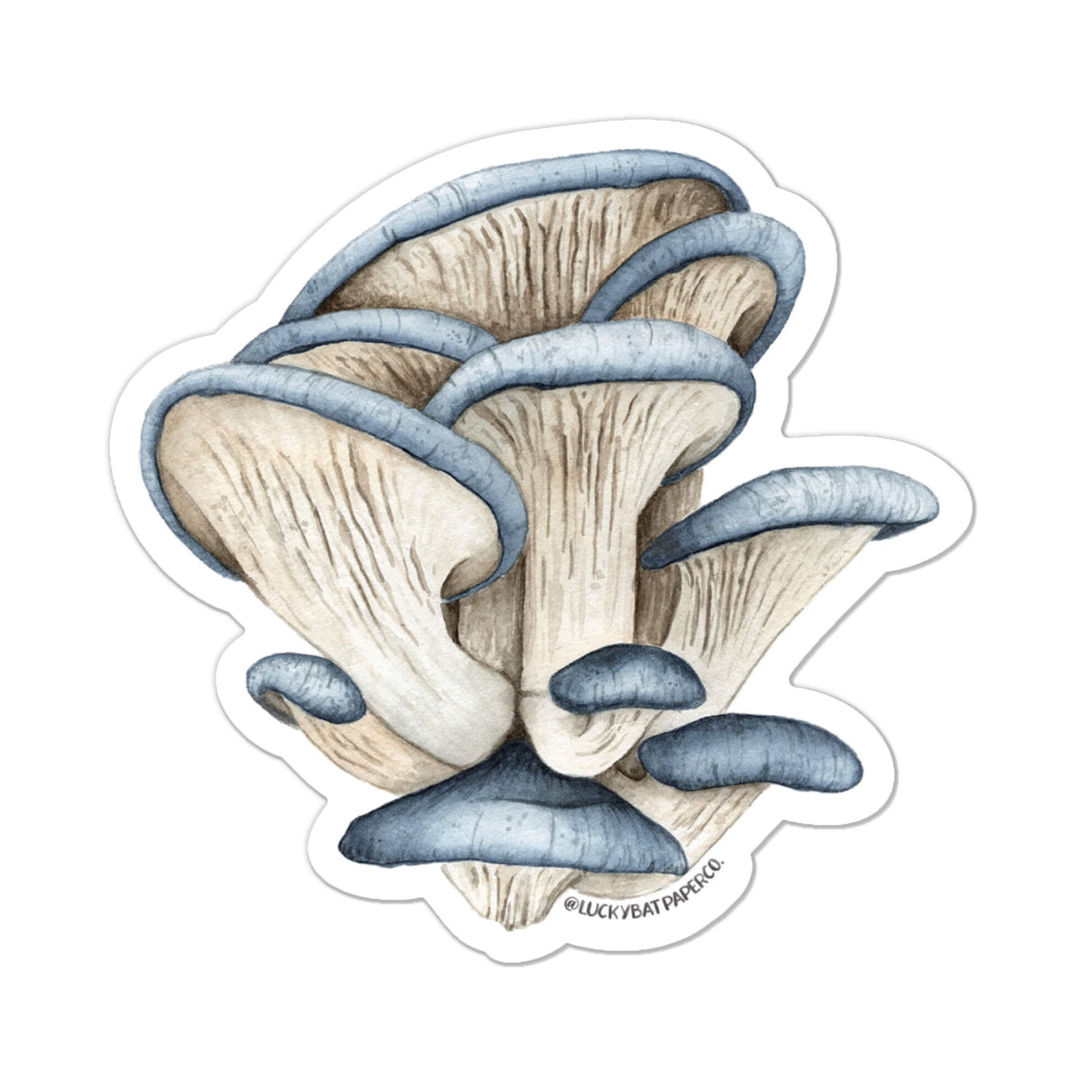 Blue Oyster Mushroom Sticker – Lucky Bat Paper Co.