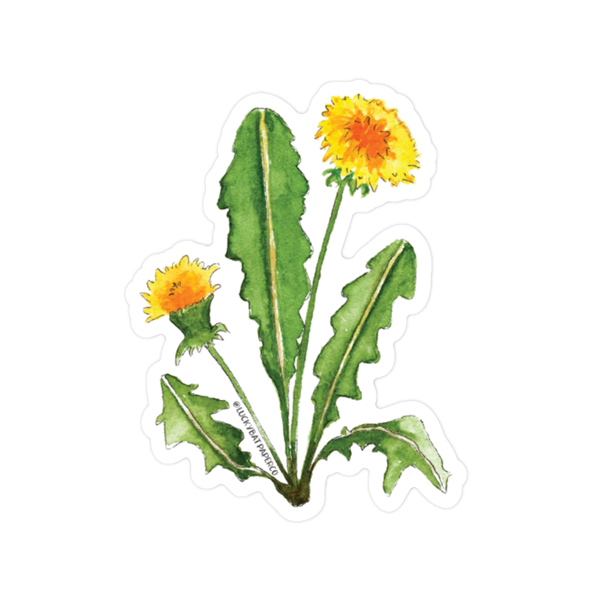 Dandelion Sticker – Lucky Bat Paper Co.